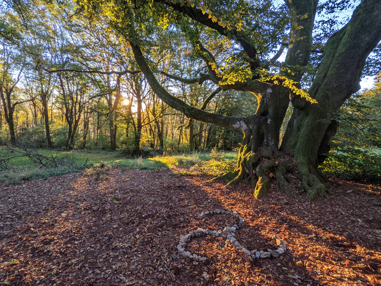 Lieu de stage dans le Sud du Morvan avec Eric Sunfox Marchal ...